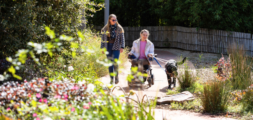 Accessibility audits