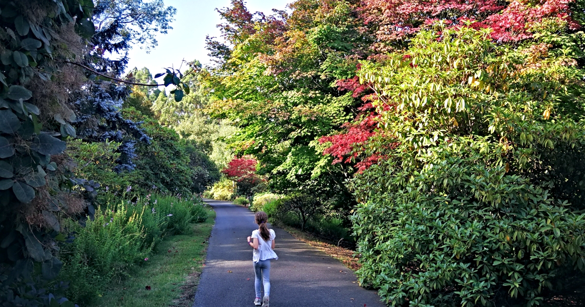 Find walks
