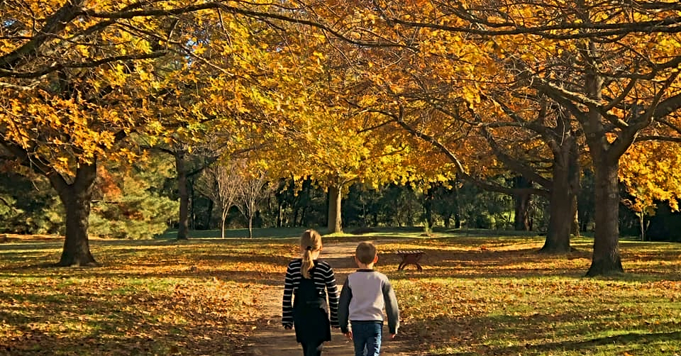 Autumn walks