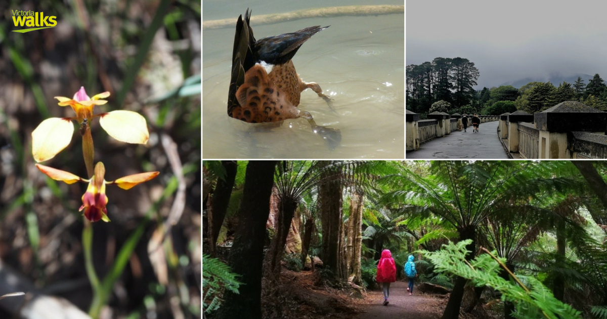 Parks Victoria walks