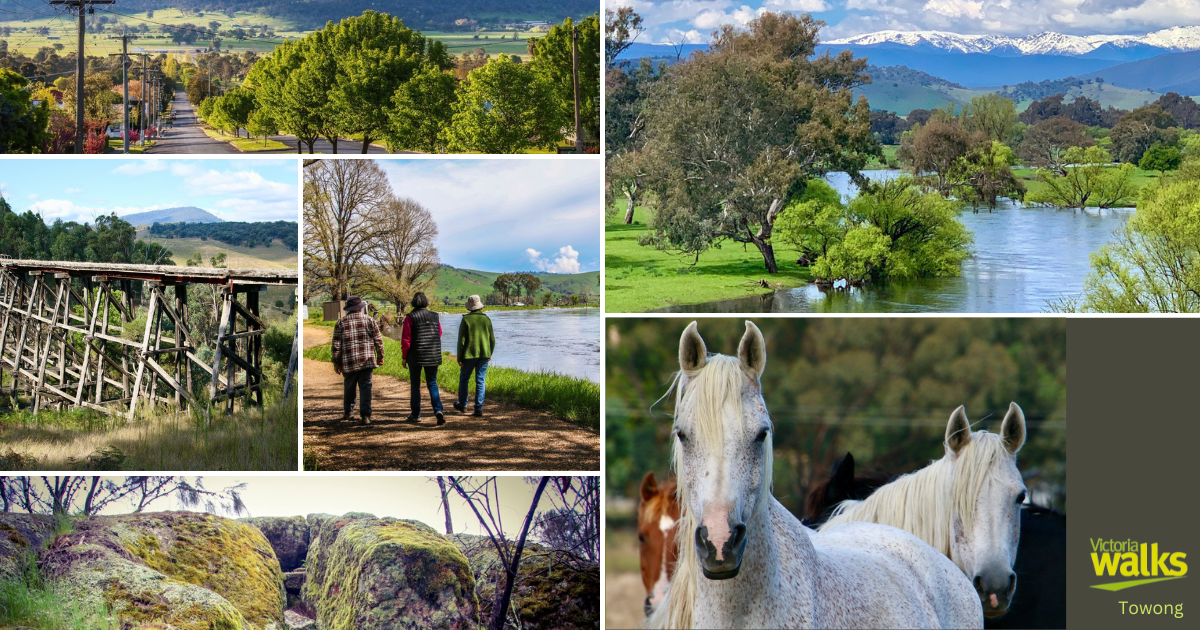 Towong Shire Council walks